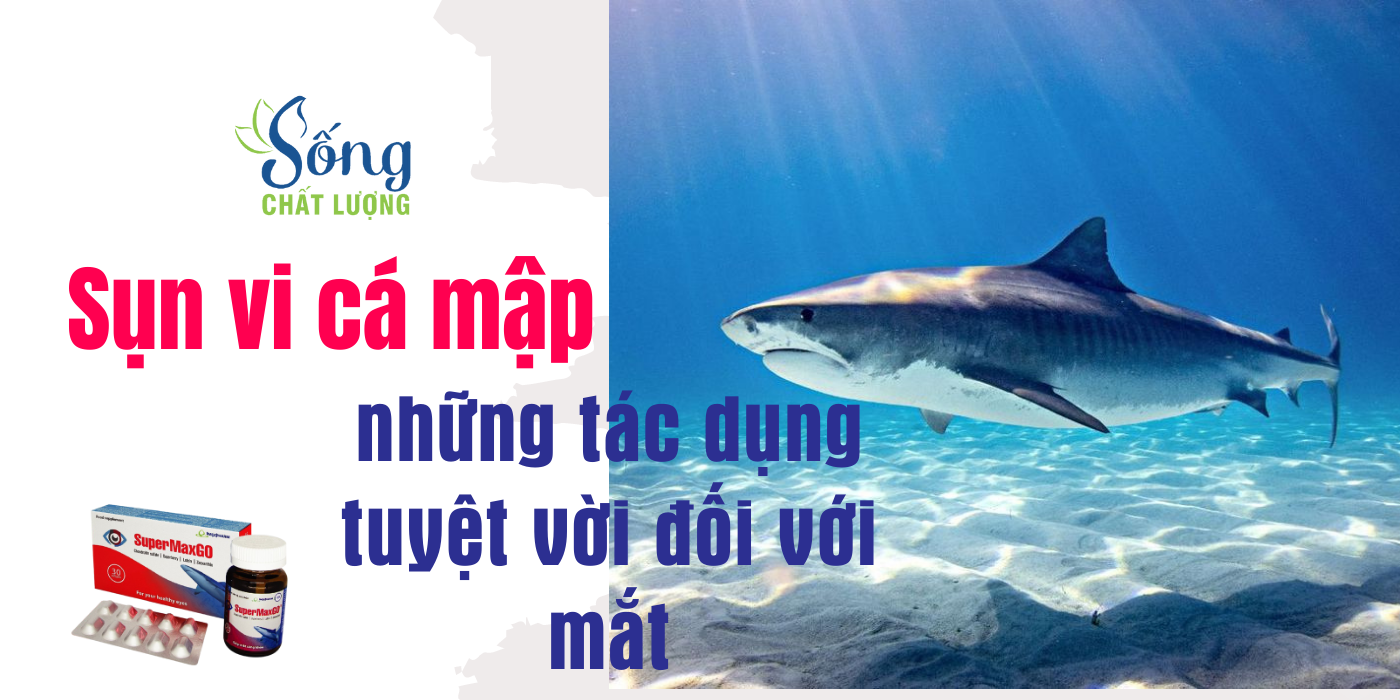 Sụn vi cá mập và những tác dụng tuyệt vời đối với mắt